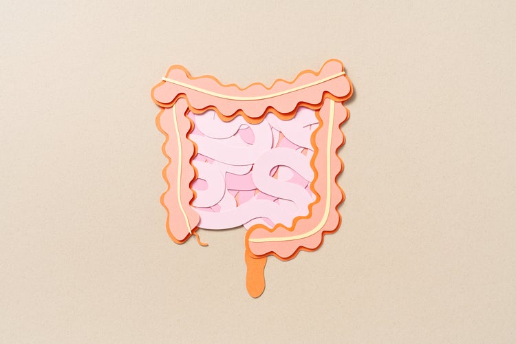 GCSE Biology - The Digestive System - Kahoot! Course