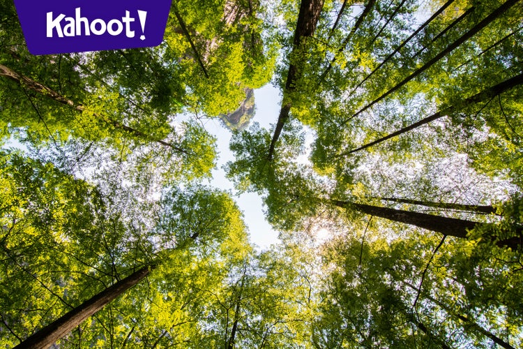 The human impact on earth - Kahoot! Quiz
