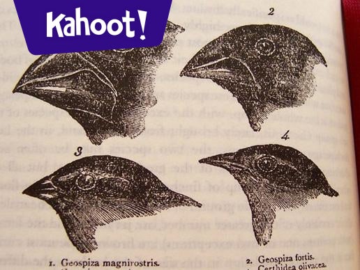 Evolution Kahoot Quiz