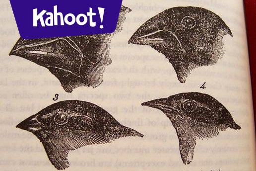 Evolution - Kahoot! Quiz