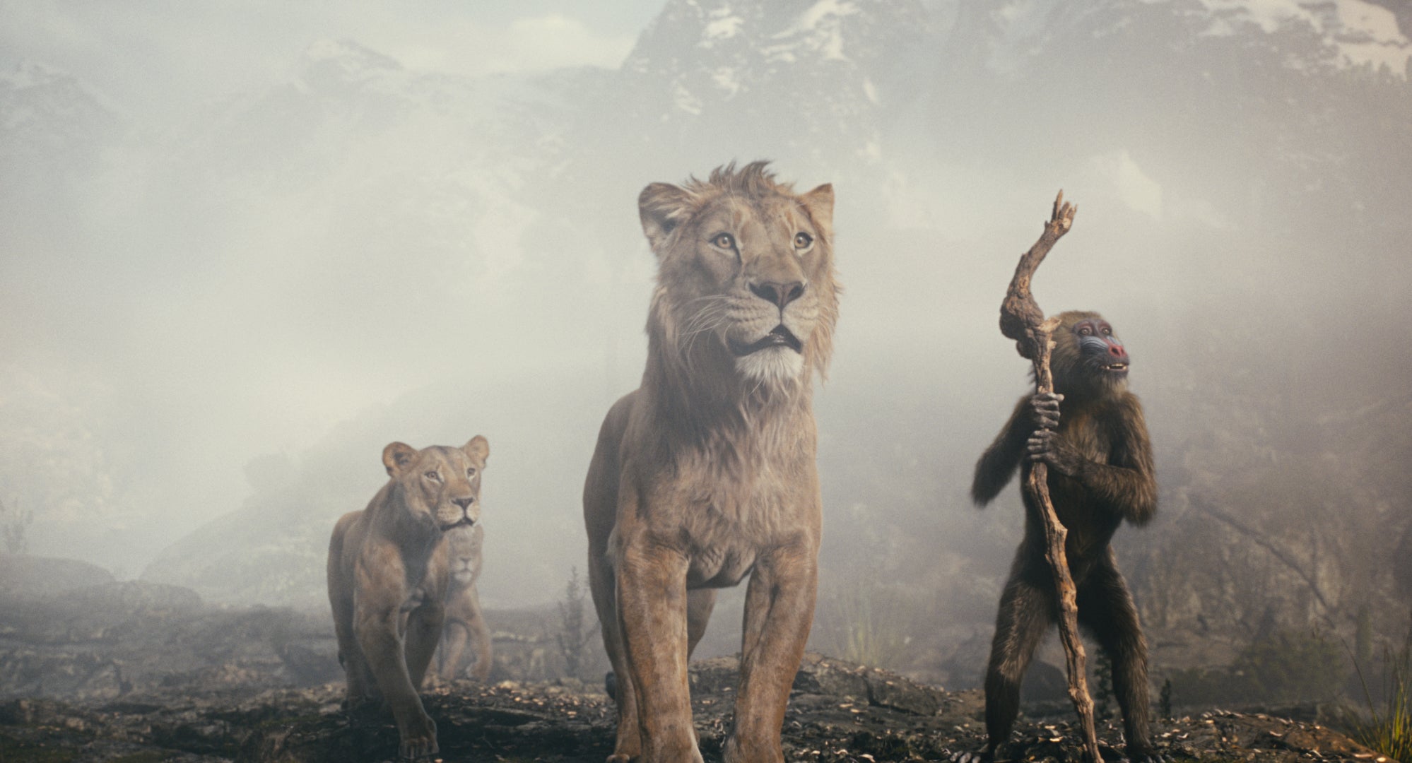 Trivia zu Mufasa: Der König der Löwen - Kahoot! Quiz