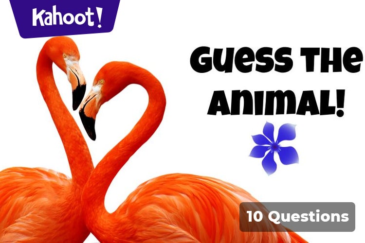 Guess the Animal - Kahoot! Quiz
