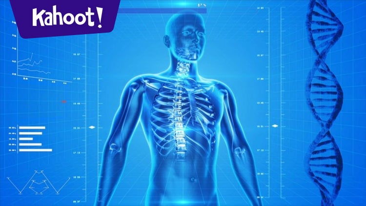 Radiology and Nuclear Medicine Terms - Kahoot! Quiz