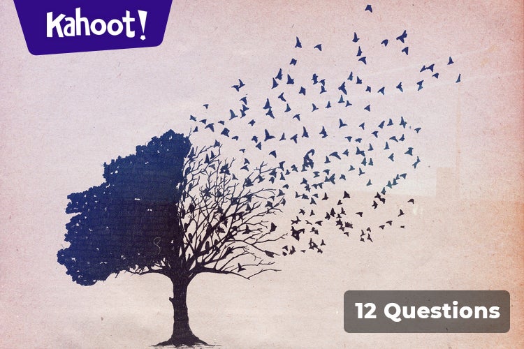 Rights Respecting School Award - Kahoot! Quiz