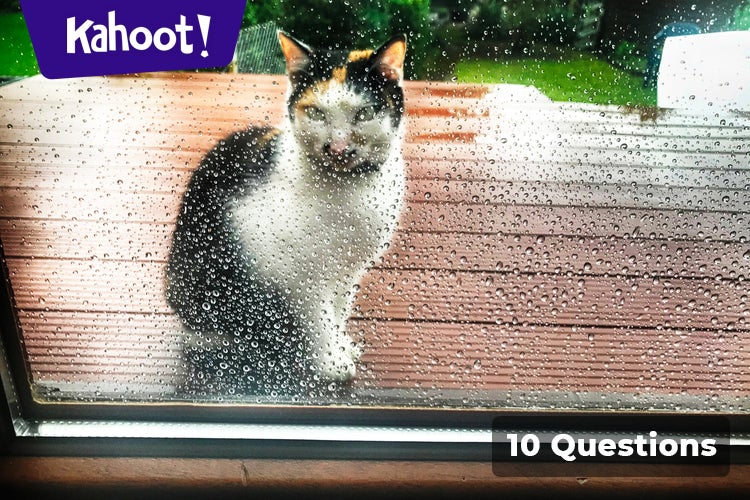 The cat in the rain by Ernest Hemingway - Kahoot! Quiz