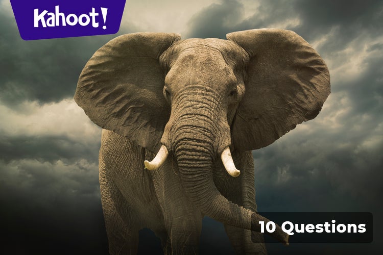 Animals A2 - Spelling - Kahoot! Quiz