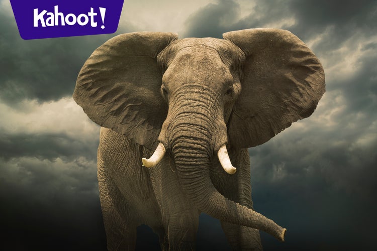 Elephant - Kahoot! Quiz