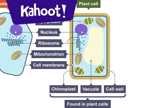 National 5 Biology A Cell Structure - Kahoot! Quiz