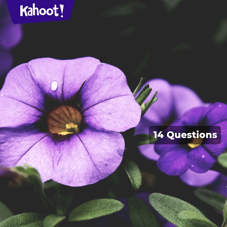 Smart Goals - Kahoot! Quiz