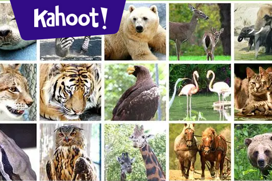 Life Science: The Animal Kingdom - Kahoot! Quiz