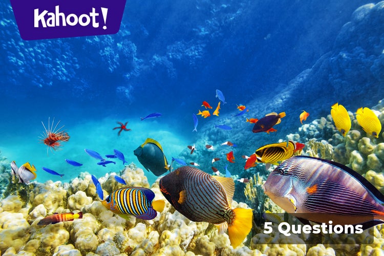 What lives in the ocean? - Kahoot! Quiz