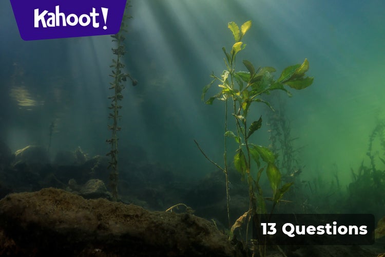 Pond Ecosystems - Kahoot! Quiz