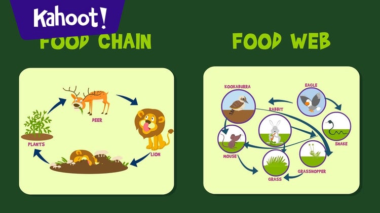 Ecology Review - Kahoot! Quiz
