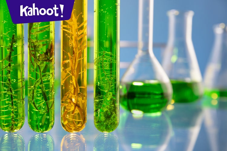 Unit 07 Review - Kahoot! Quiz