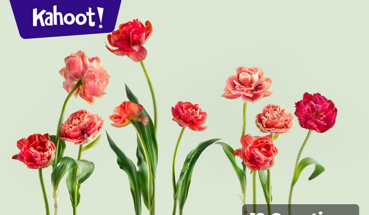 Spring Benchmark Review - Kahoot! Quiz