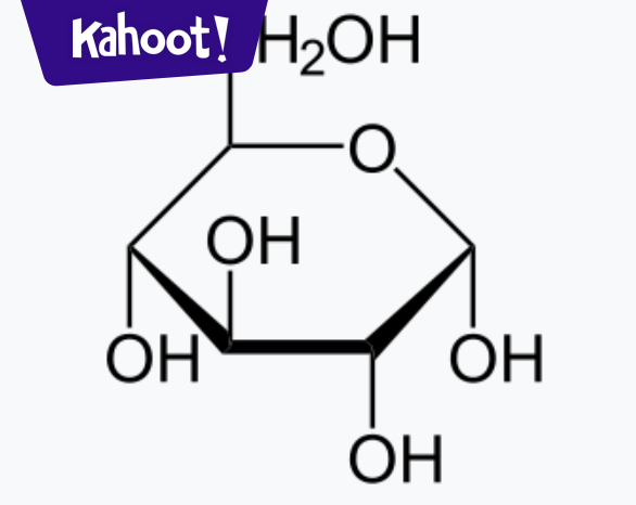 Unit 3 Organic Chemistry - Kahoot! Quiz