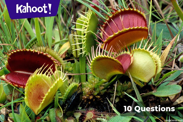 Plants - Kahoot! Quiz