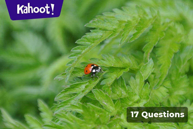 Flowering Plants - Kahoot! Quiz