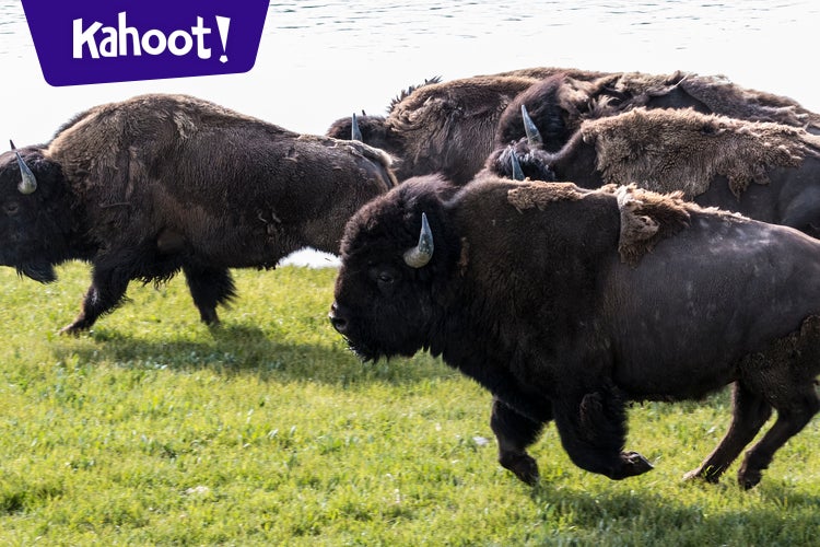 Wit and Wisdom Vocabulary Words Modules 1-2 - Kahoot! Quiz