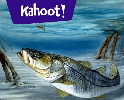 SALTWATER FISHING IN SC - Kahoot! Quiz