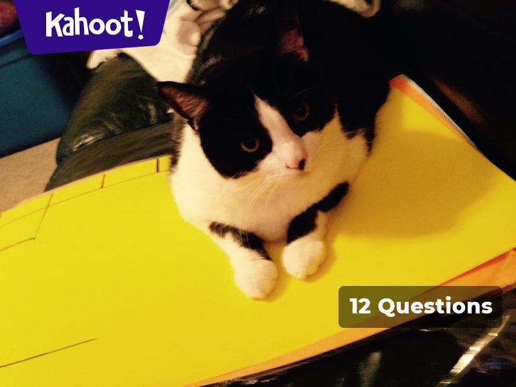 Midterm Exam Practice - Kahoot! Quiz