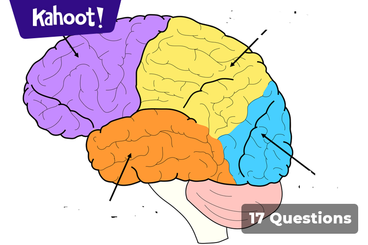 Brain Review - Kahoot! Quiz