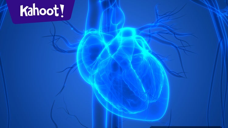 Human Body - Heart - Kahoot! Quiz
