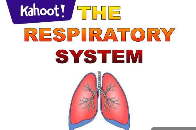 Duplicate of Respiratory System Labeling - Kahoot! Quiz