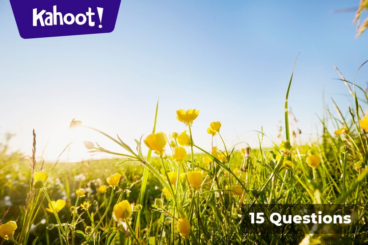 FPDS Fun Event: Spring 2025 - Kahoot! Quiz