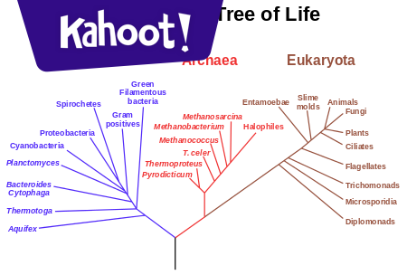 Classification - Kahoot! Quiz