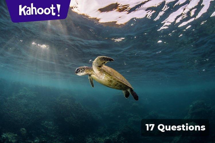 Let's have fun - Kahoot! Quiz