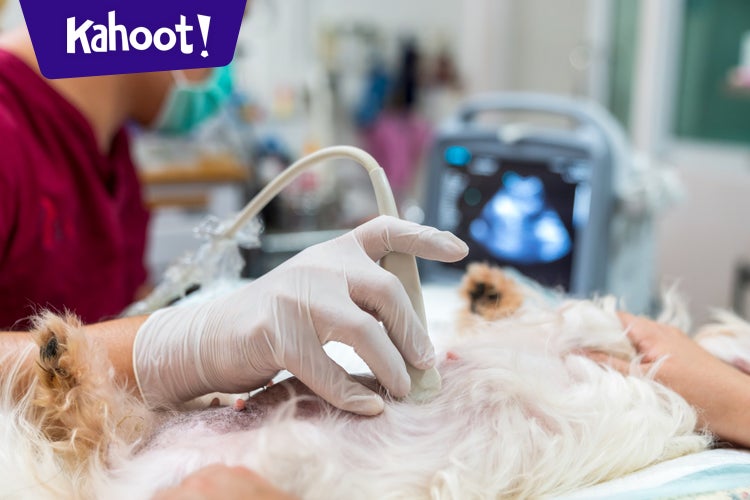 VN02 Imaging - Kahoot! Quiz