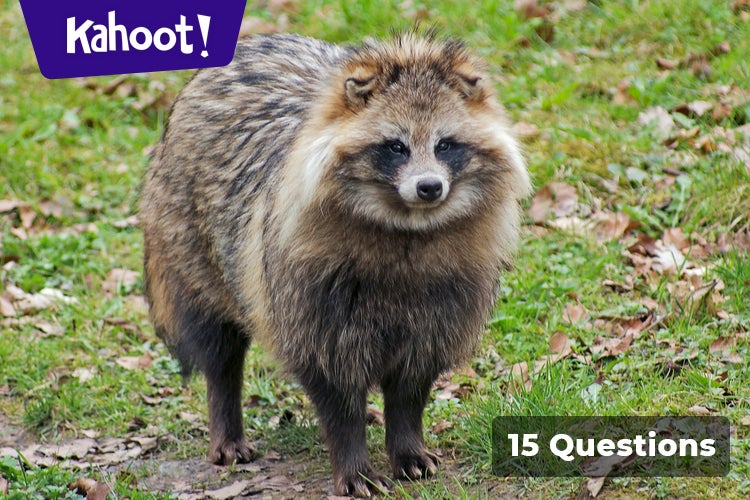 Japanese Animals - Kahoot! Quiz