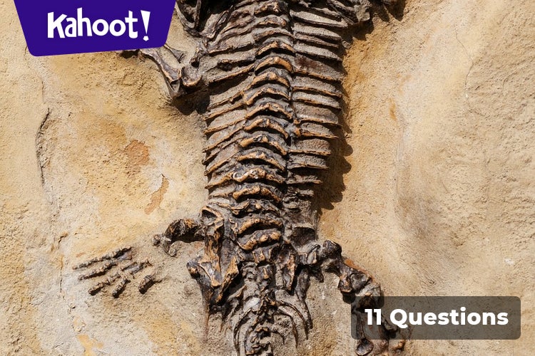 IB Biology: 5.1 Evidence for Evolution - Kahoot! Quiz