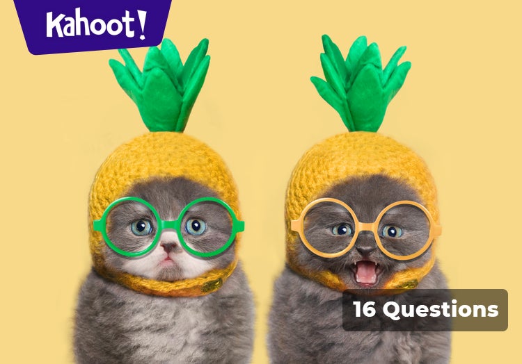 Baby animal image reveal - Kahoot! Quiz