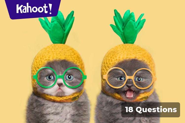 Open Up 2 - Unit 6: Animals - Kahoot! Quiz