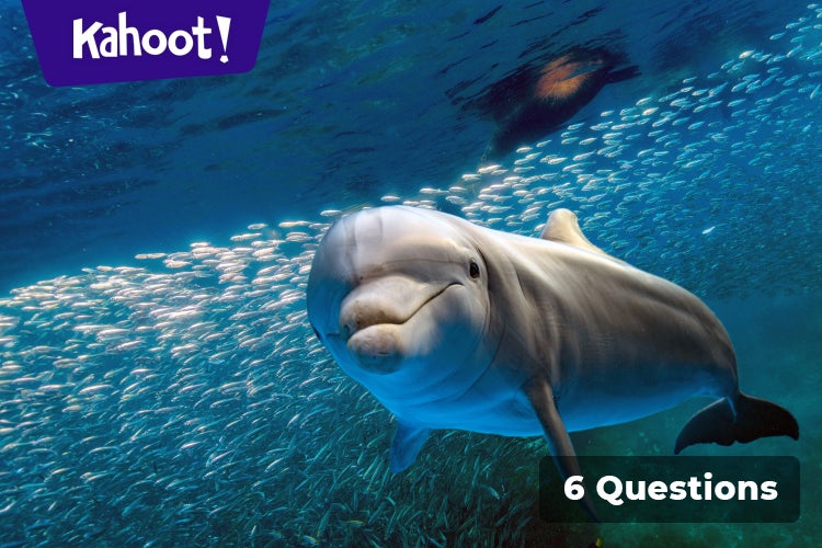 Ocean #1 - Kahoot! Quiz