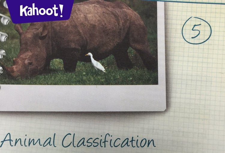 Animal Classification - Kahoot! Quiz