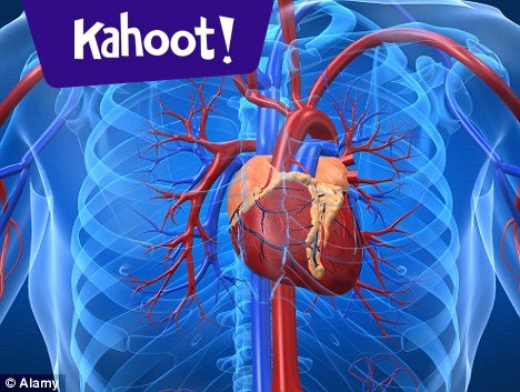 Duplicate of Heart Anatomy - Kahoot! Quiz