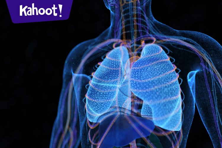 Phys 3 Ex 3 (Pulm) - Kahoot! Quiz