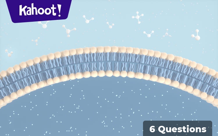 MD1 2024 - Intro to Cell Physiology - Kahoot! Quiz