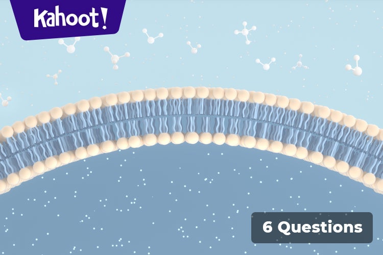 MD1 2024 - Intro to Cell Physiology - Kahoot! Quiz
