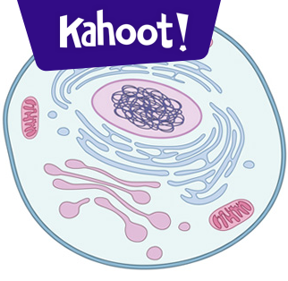 The Cell Structure and Function - Kahoot! Quiz