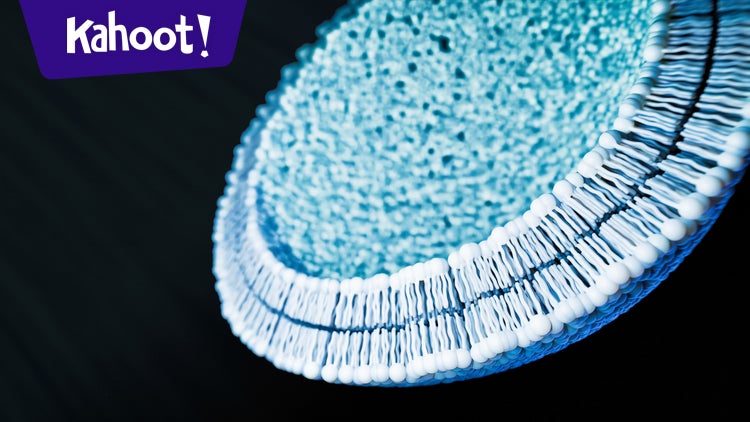 Cell Structure Quiz - Kahoot! Quiz