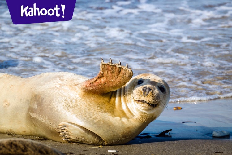 SCI 8- Test Review Game- Fossils & Evolution - Kahoot! Quiz