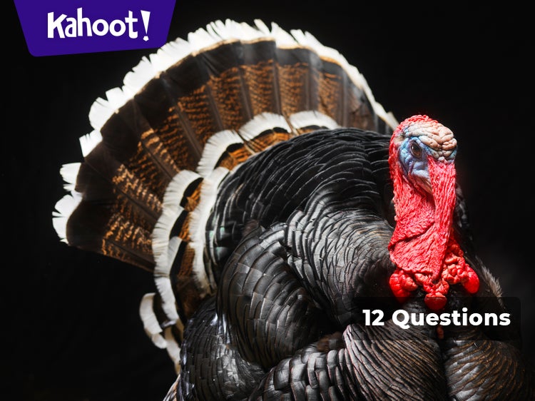 Turkey Facts - Kahoot! Quiz