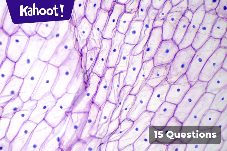 Plant Cells and the Microscope - Kahoot! Quiz