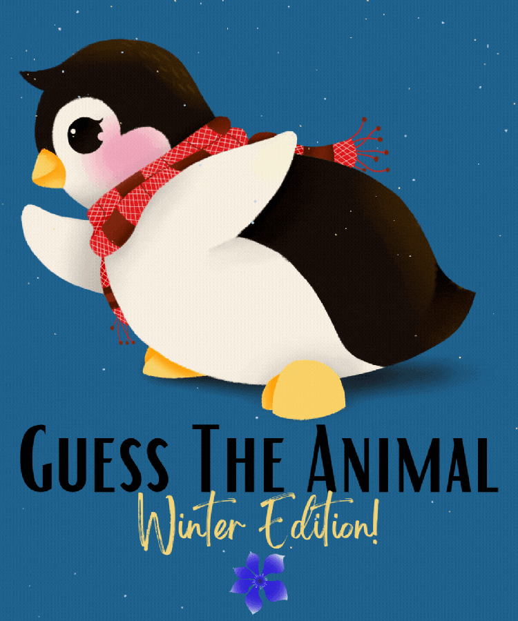 Guess The Animal Winter Edition! Slow-Reveal Snowy Animals. (Bundle 5 ...