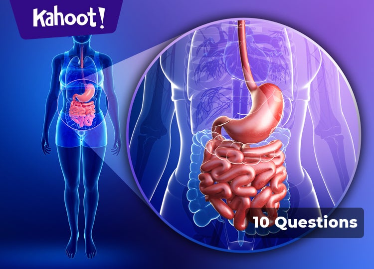Digestive + Circulatory System Review - Kahoot! Quiz