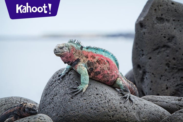 Bundle 6 Evolution Body Systems Kahoot Quiz